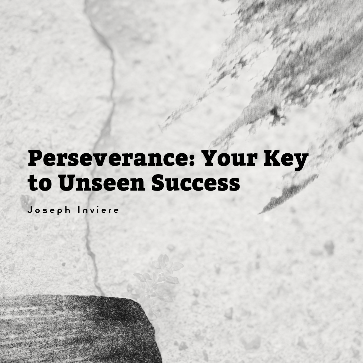 Perseverance: Your Key to Unseen Success – Joseph Inviere